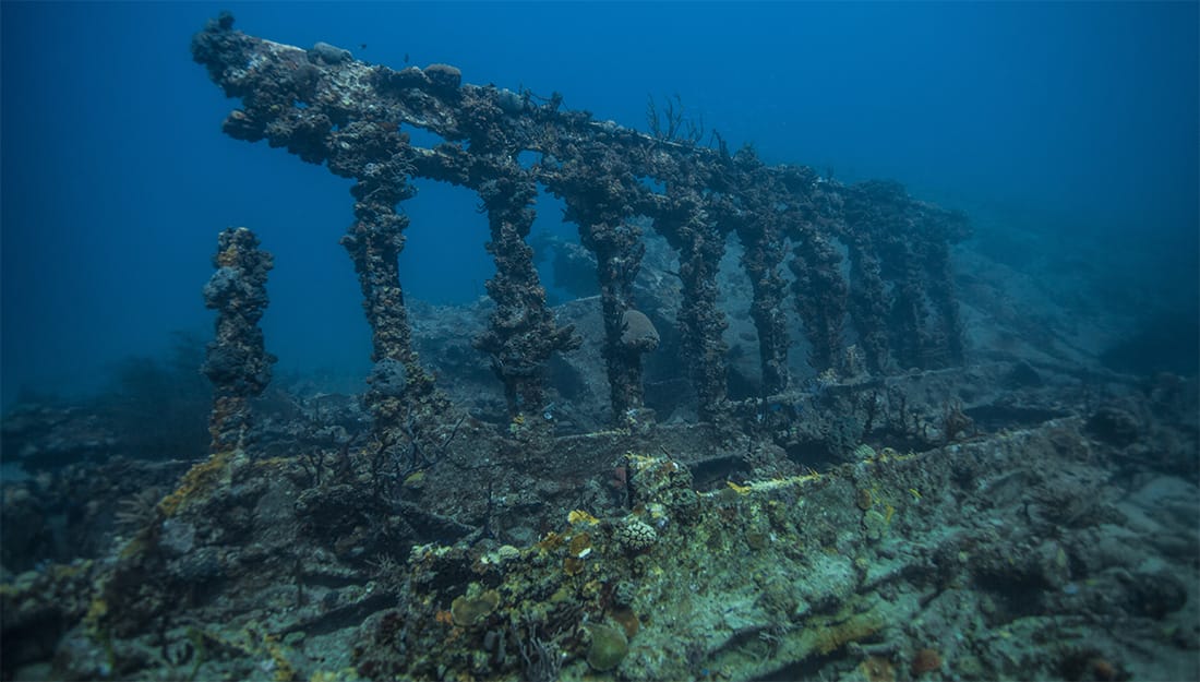 Rhone National Marine Park | Worldwide Boat
